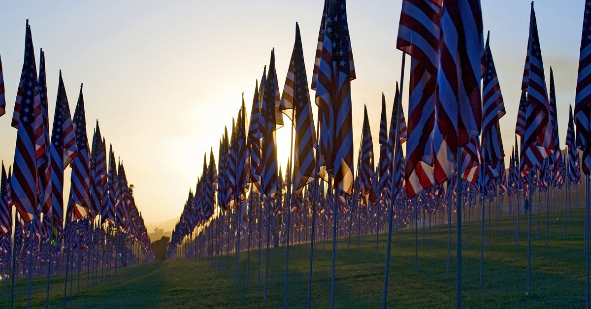 Remembering Sept. 11: Search and Rescue Dogs at Ground Zero
